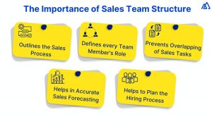 Building a Winning Sales Team: Strategies for Team Structuring