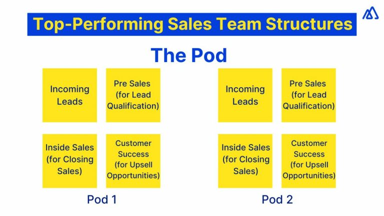 Building a Winning Sales Team: Strategies for Team Structuring
